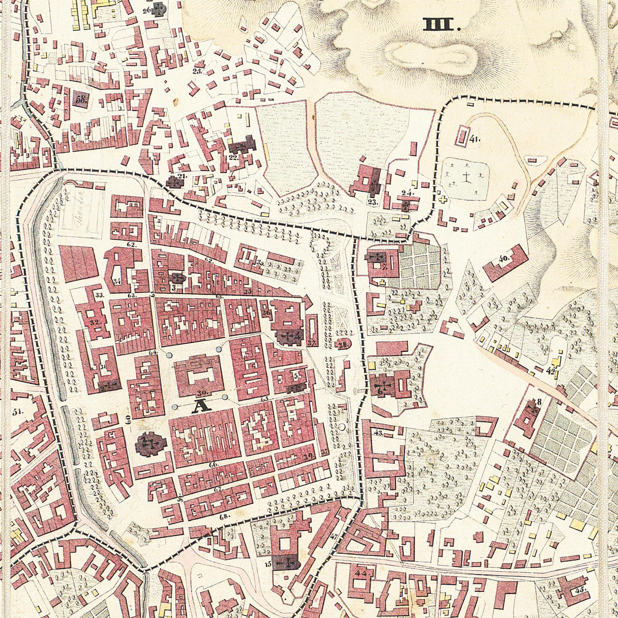 Stadtplan Lemberg um 1829 | Kartenhandlung Rothert